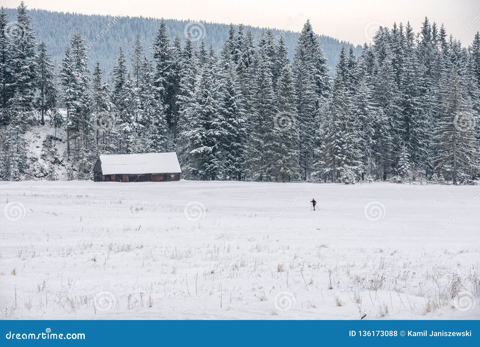 Lonely Runner Skiing. a Great Form of Activity during the Winter Stock ...