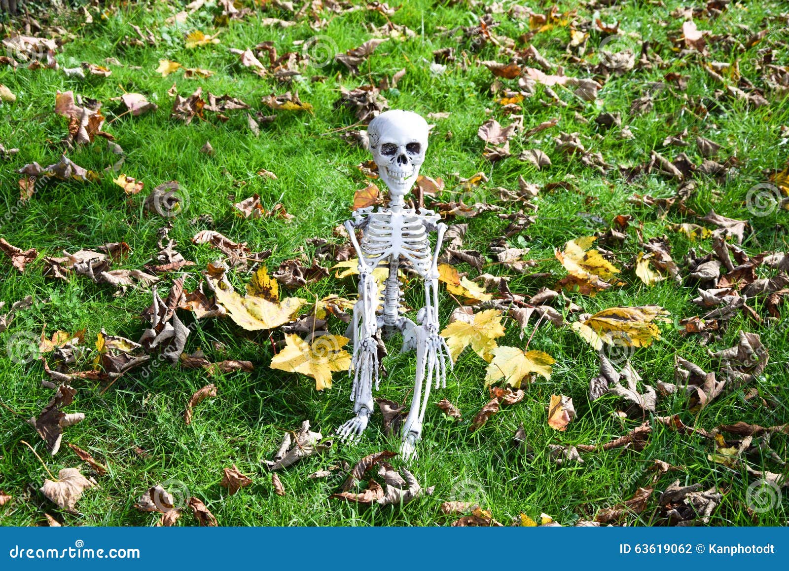 Lonely Skeleton Sitting in Autumn - Halloween Stock Photo - Image of ...