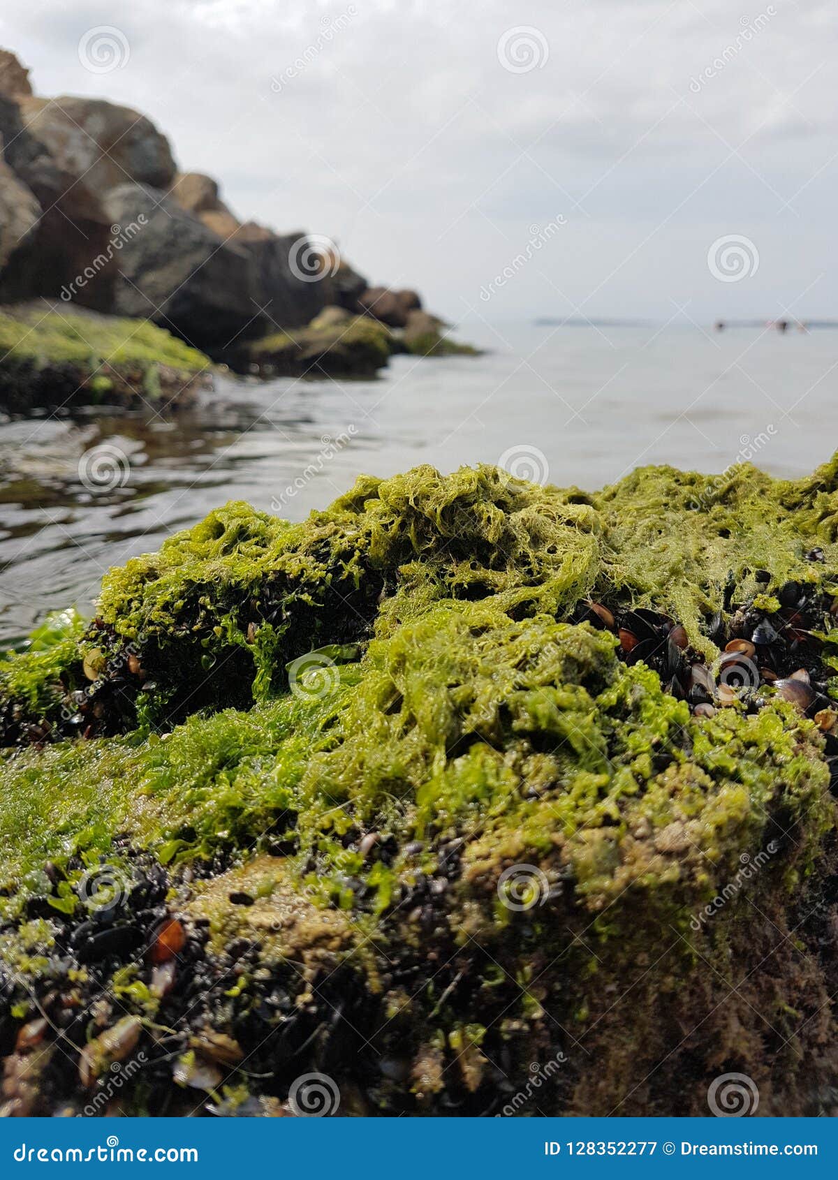 Greenstone in the sea stock image. Image of airplane - 128352277
