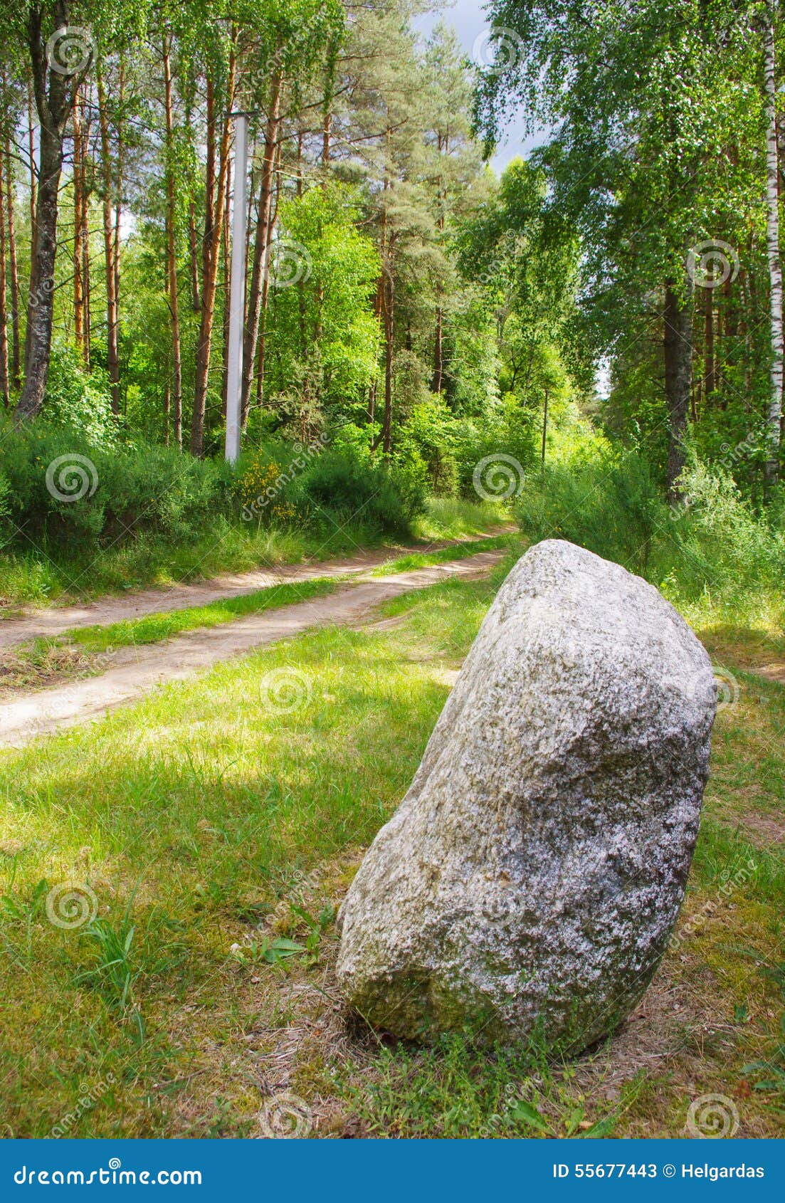 Lonely Stone Bench In The Green Park Environment Royalty-Free Stock ...