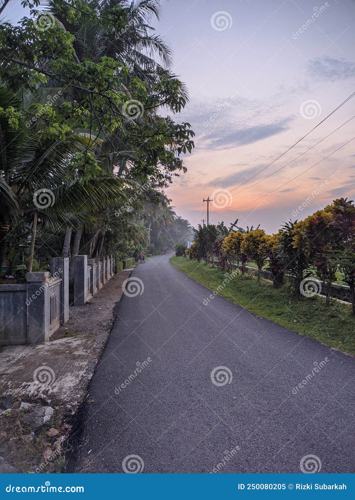 Lonely Street in the Morning Stock Image - Image of road, lonely: 250080205