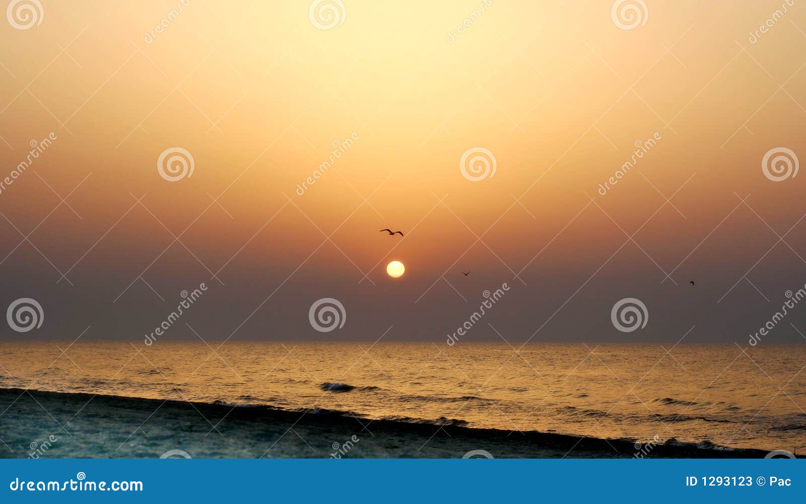 Lonely sunrise stock image. Image of fire, warm, alone - 1293123