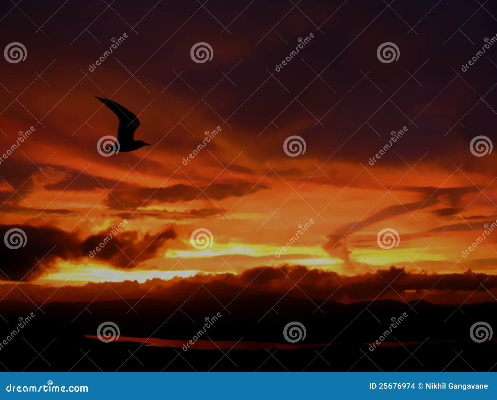 Lonely Sunset Flight stock photo. Image of skies, picturesque - 25676974