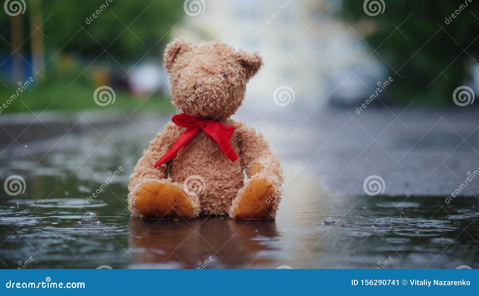 Lonely Teddy Bear Sits in a Puddle in the Rain Stock Image - Image of ...
