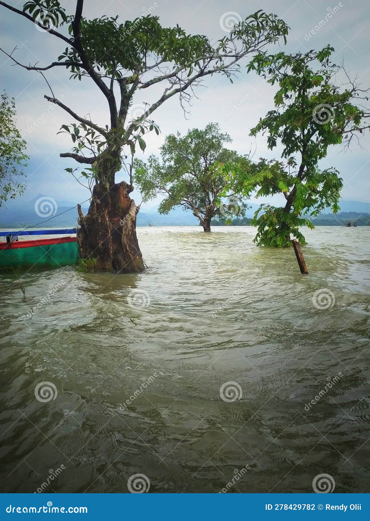 Lonely Tree at Bili Bili Dam Gowa Stock Photo - Image of gowa, tree ...