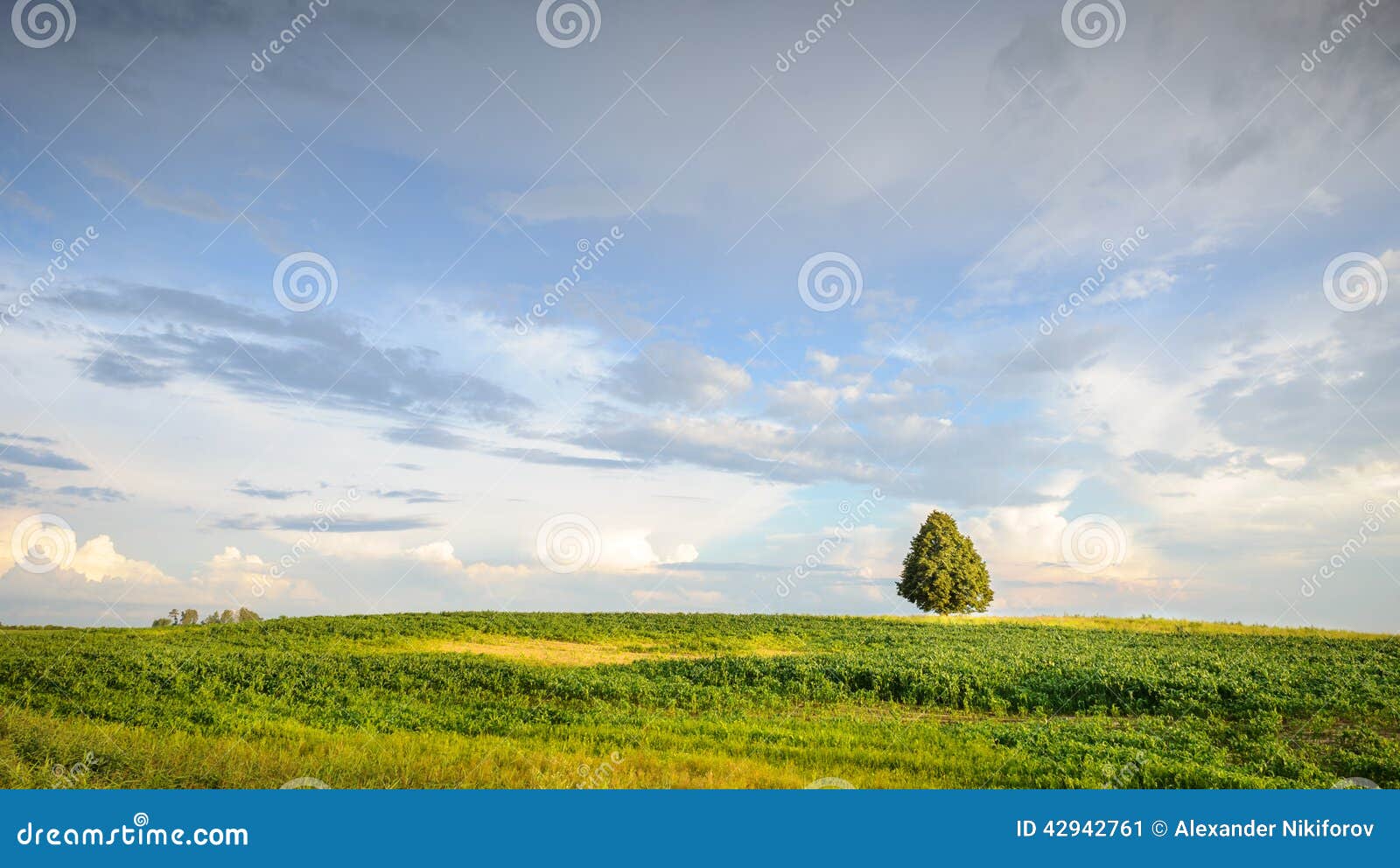 Lonely Tree Boundless Sunny Fields Stock Photos - Free & Royalty-Free ... Lonely Tree Boundless Sunny Fields Stock Photos - Free & Royalty-Free ...