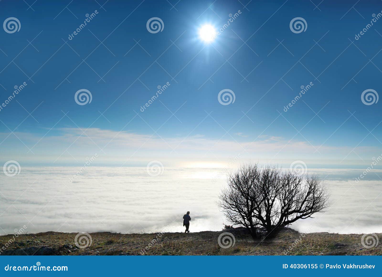 Lonely tree with clouds stock image. Image of nature - 40306155