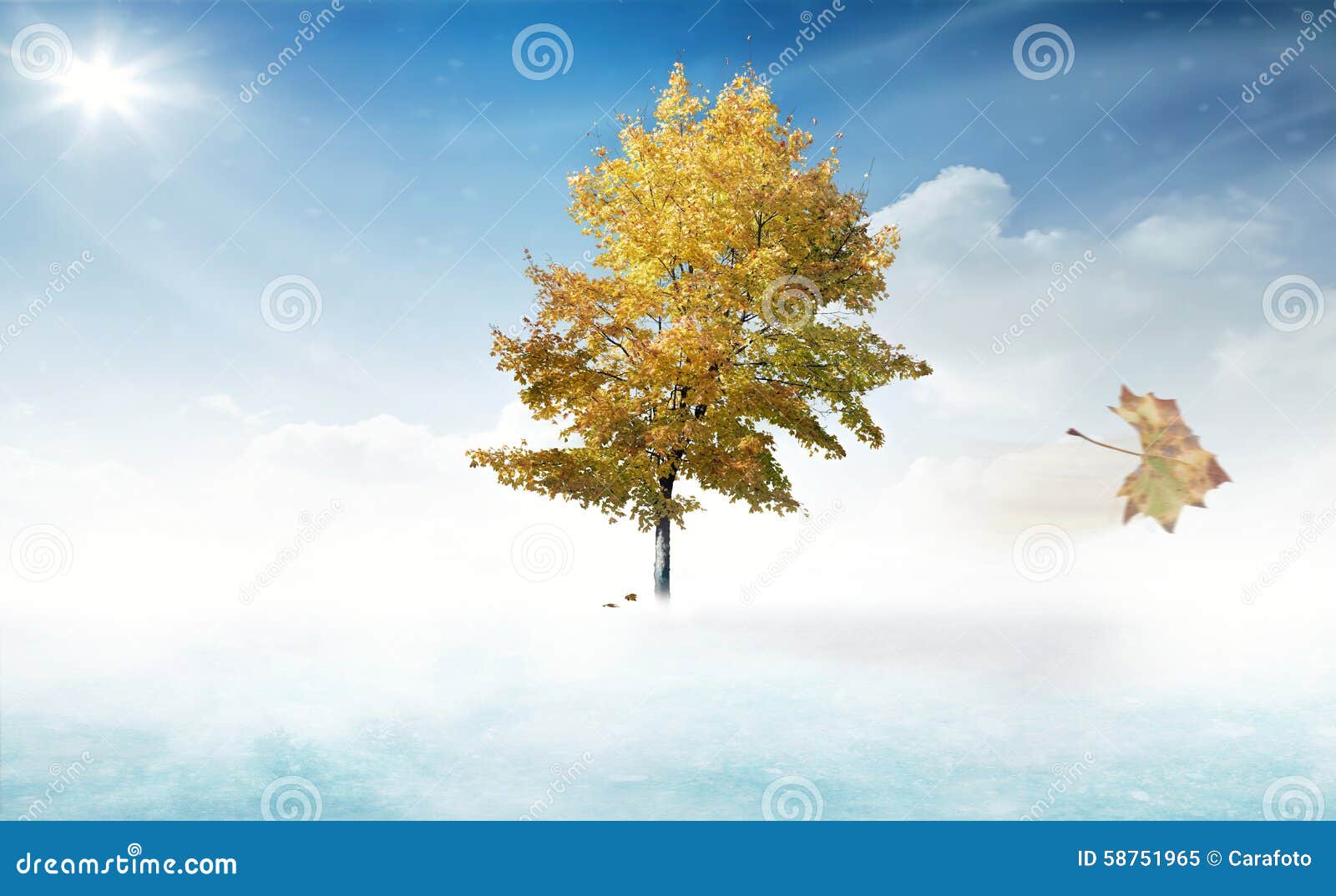 A Lonely Tree in a Cold and Windy Landscape at Autumn Stock Image ...