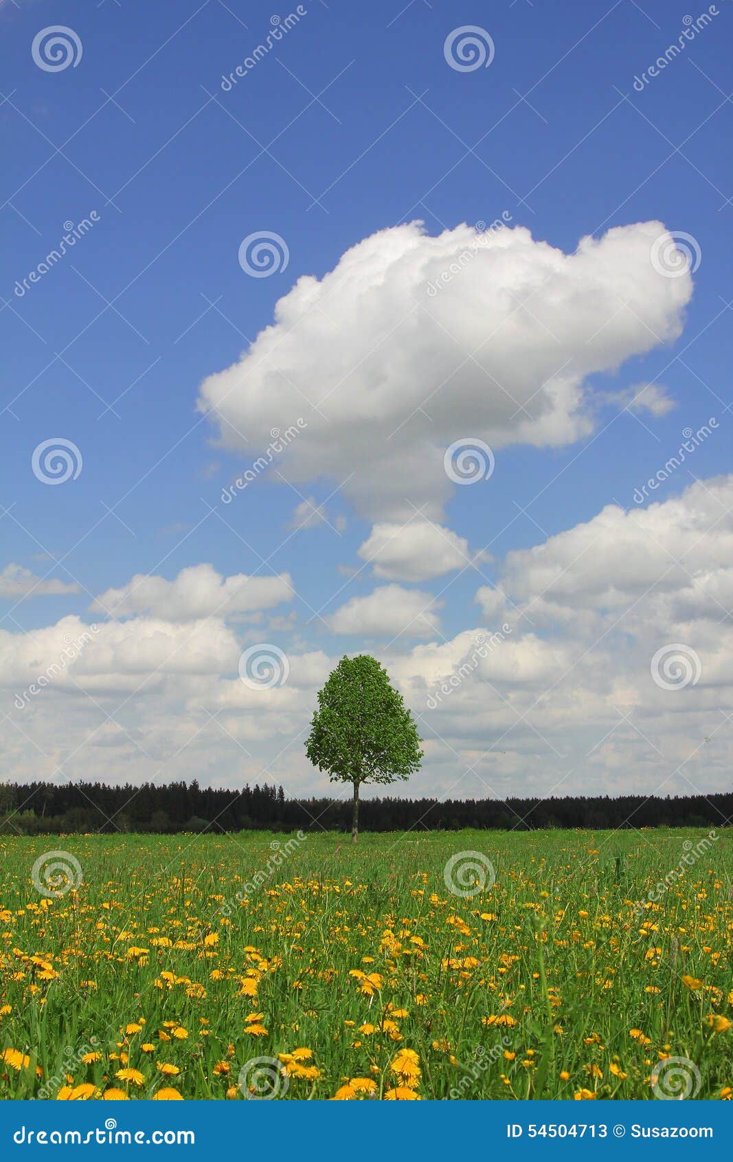 Lonely Tree in Dandelion Meadow Stock Image - Image of beautiful, land ...
