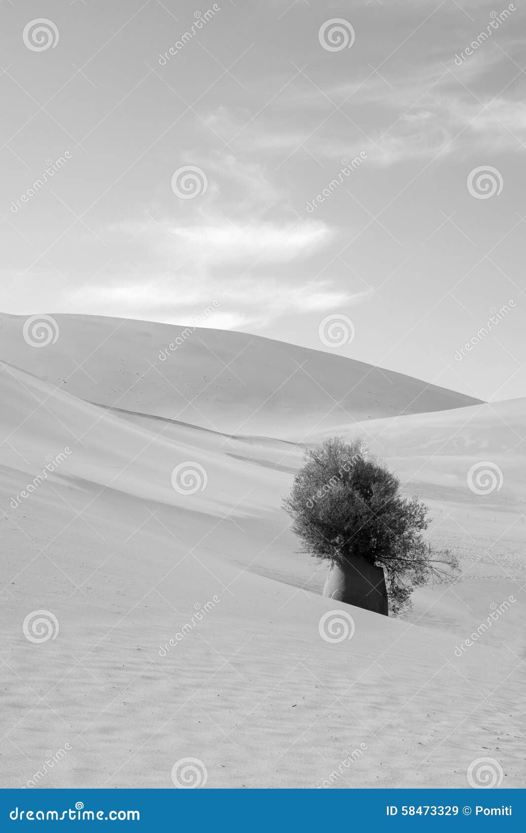 Monotone Image Of Beautiful Natural Sand Dune Curved Ridge With Soft ...