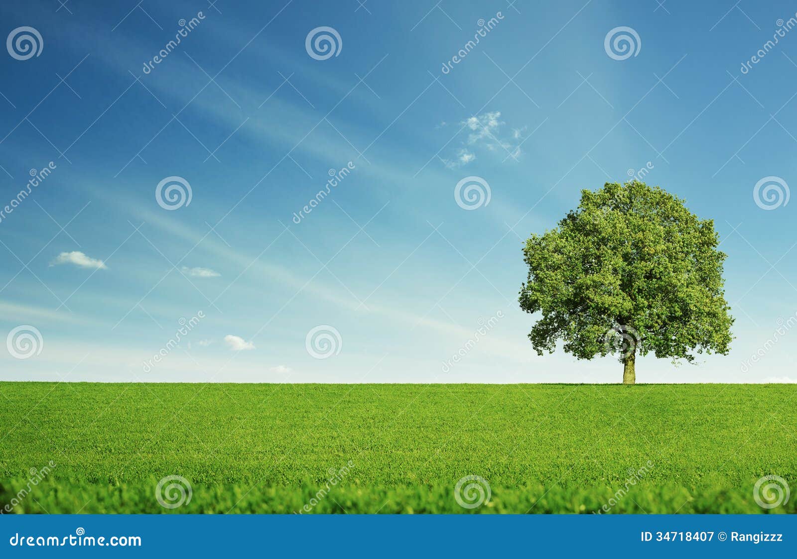 Lonely tree stock image. Image of lonely, plain, nature - 34718407