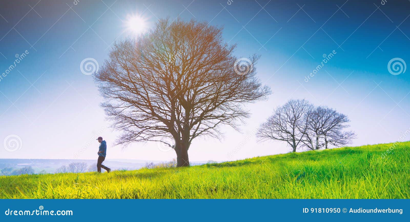 Lonely Tree on a Field of Grass in Spring with Beautiful Bright Stock ...