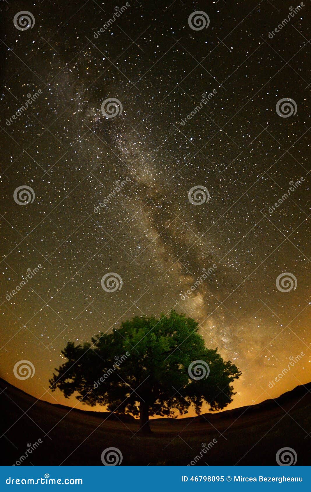 Lonely Tree on Field Under the Night Sky Stock Image - Image of field ...
