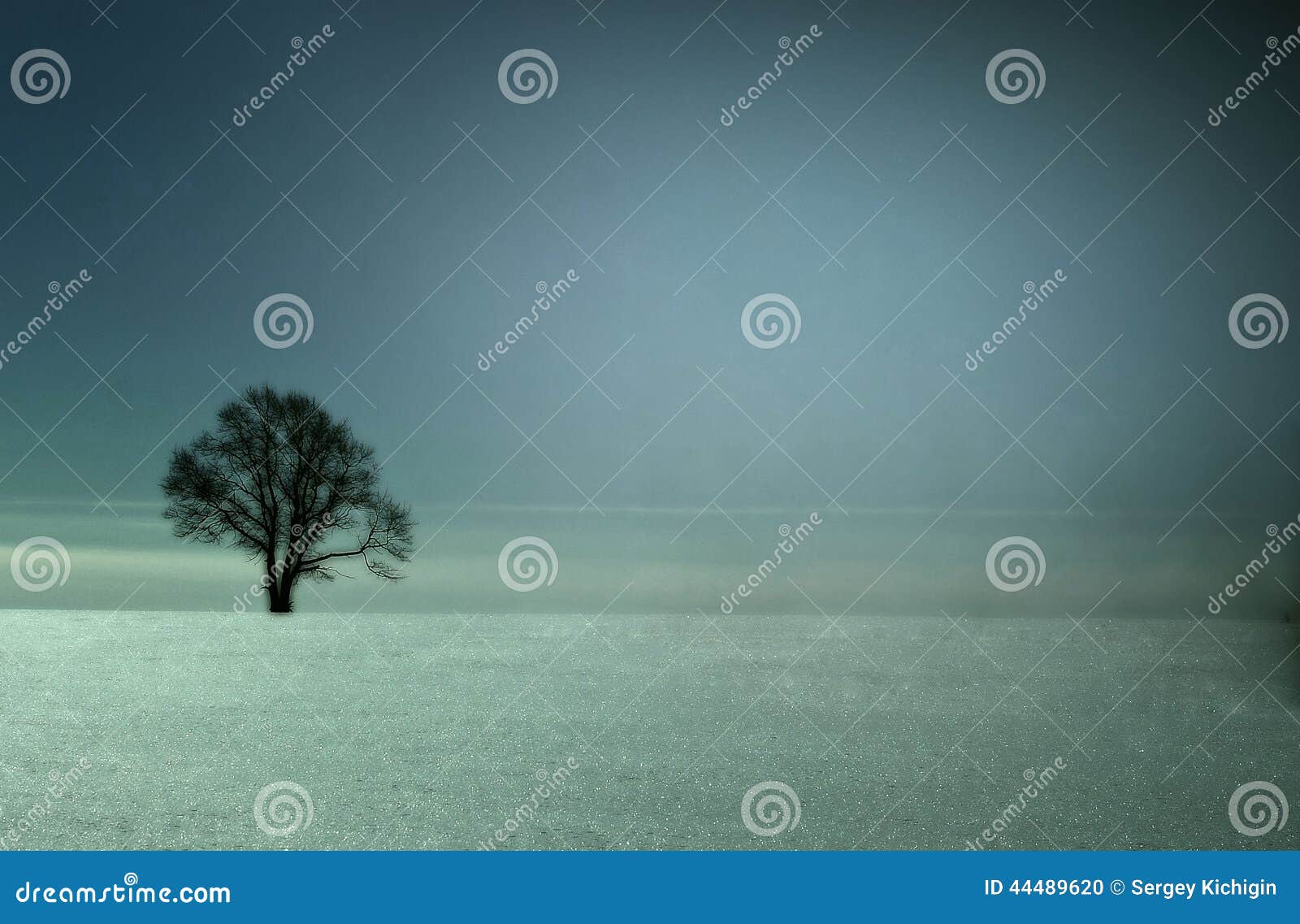 Lonely Tree in a Field in Winter Stock Photo - Image of blizzard ...