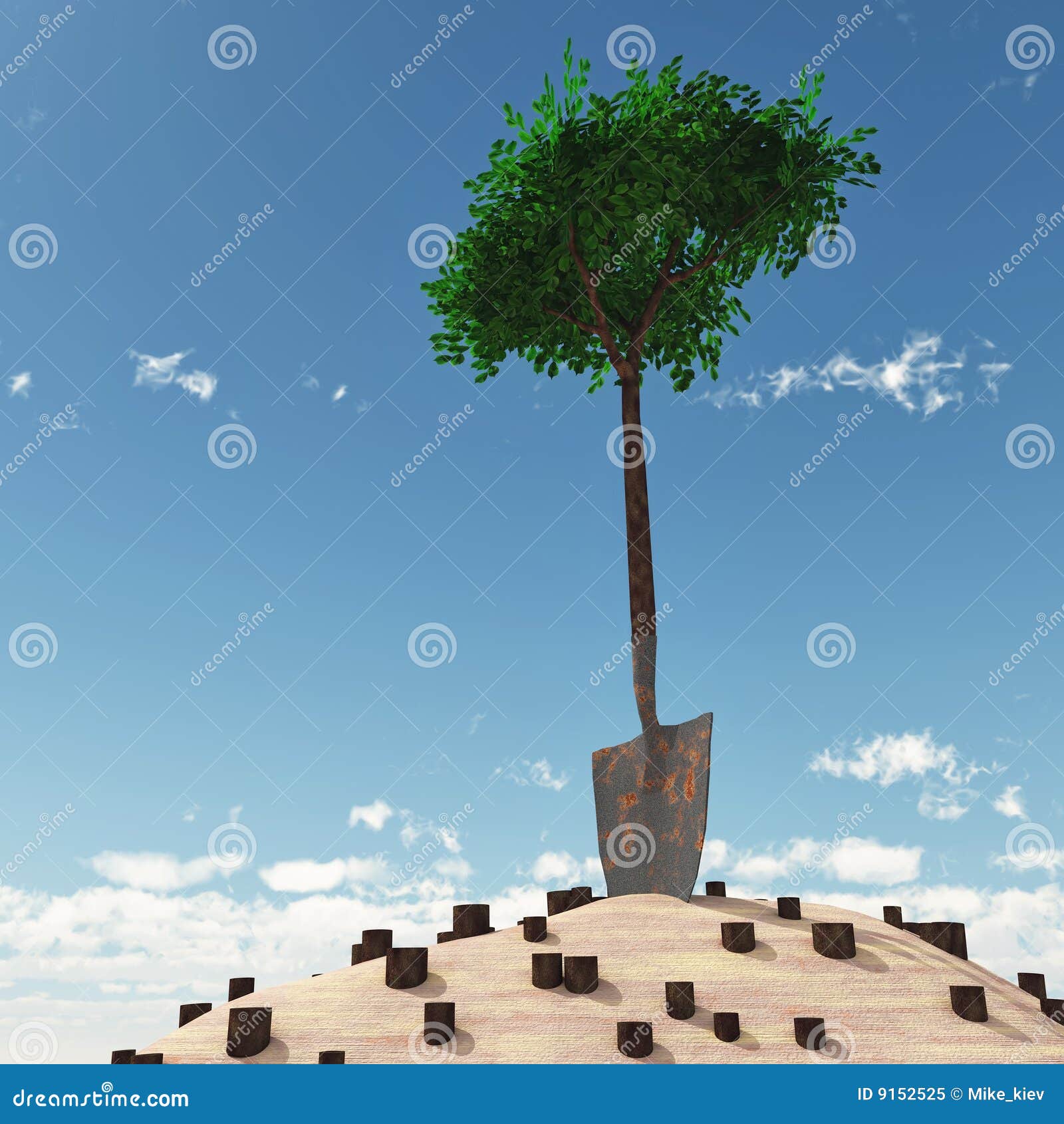 Tree Growth Stages. Seedling Development Stage Infographic. Animation ...