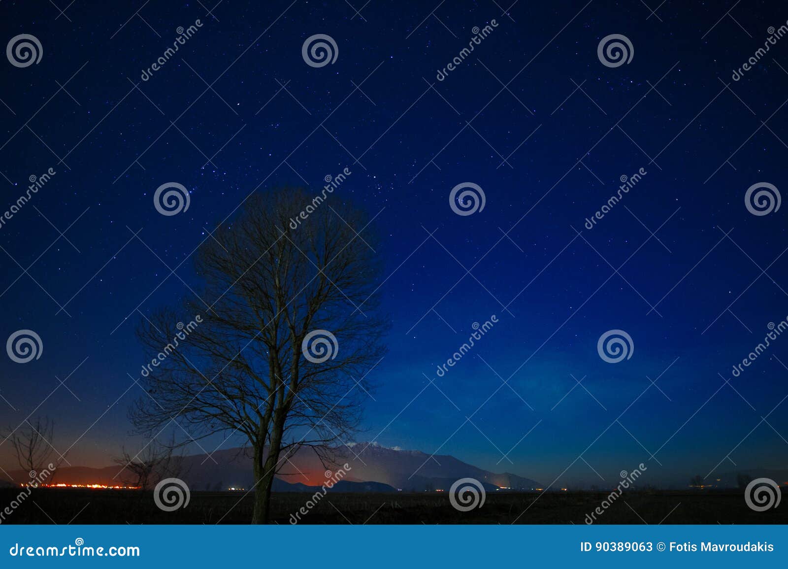 Lonely tree panorama stock image. Image of north, exploring - 90389063