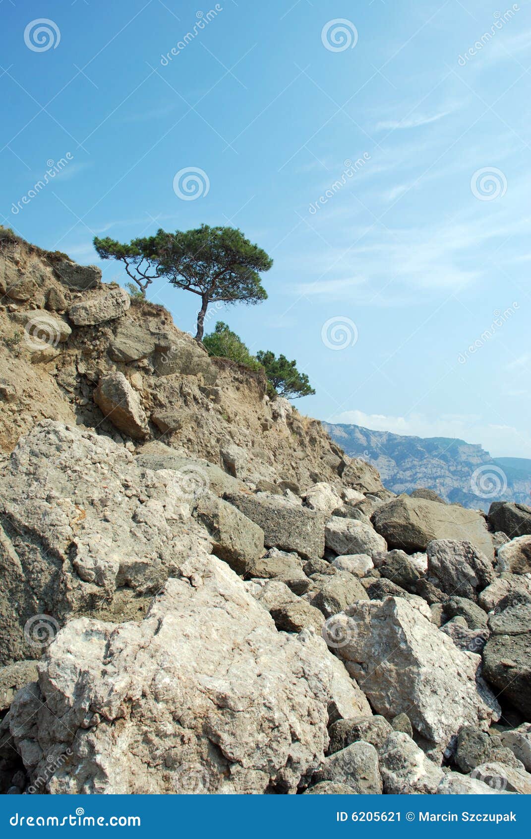 Lonely tree on rocks stock image. Image of outdoors, mountain - 6205621