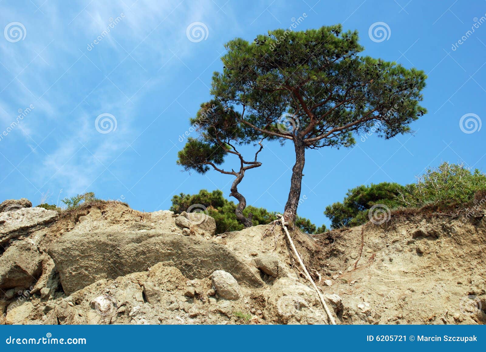 Lonely tree on rocks stock image. Image of nature, mountain - 6205721