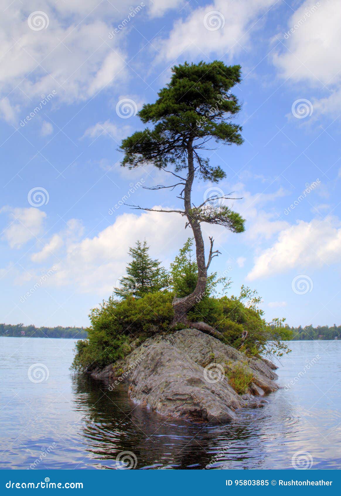 A Lonely Tree on a Small Island Stock Image - Image of foliage, clouds ...