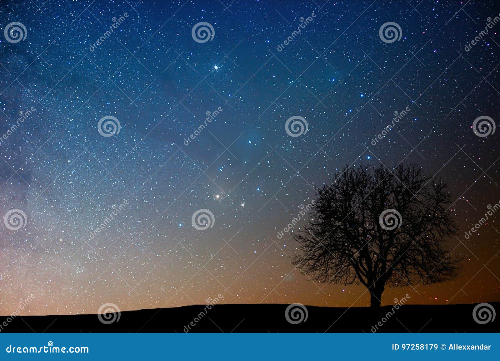 Lonely Tree in Starry Night. Antares Region Stock Image - Image of ...