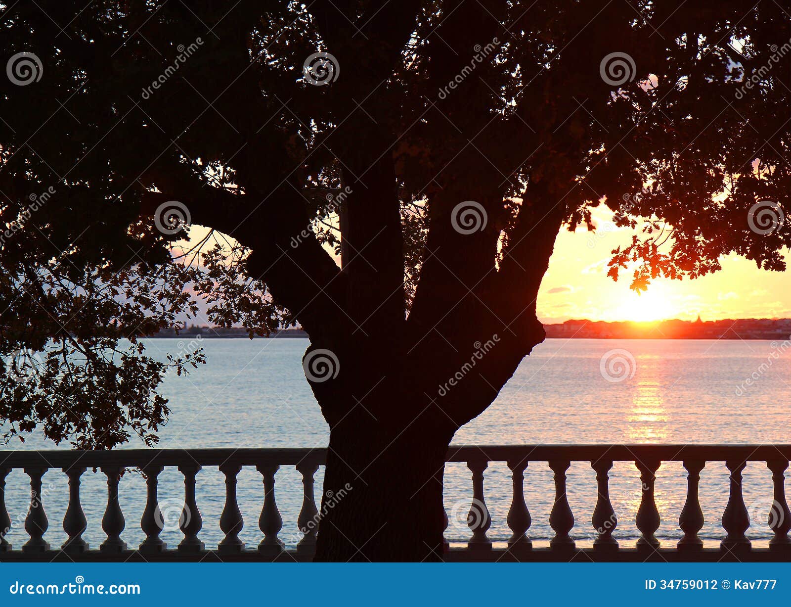 Lonely tree at sunset stock photo. Image of bush, night - 34759012