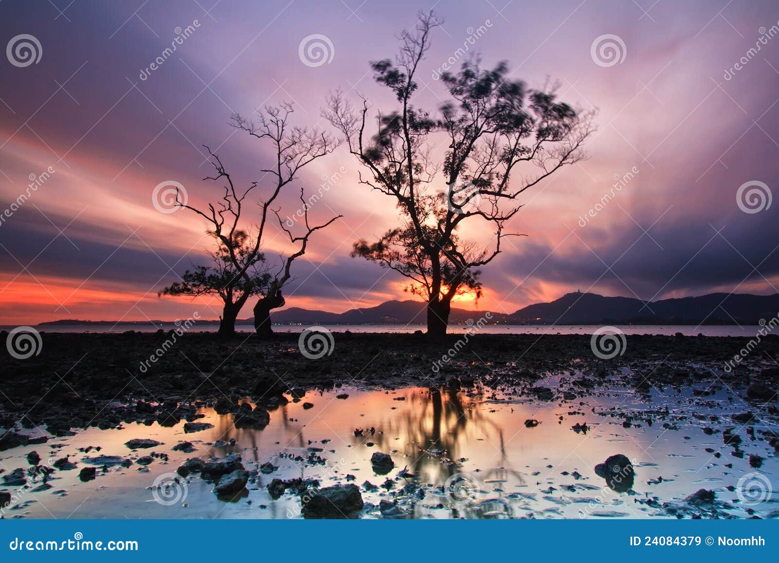 Lonely Tree by the Sunset, Thailand Stock Image - Image of exotic ...