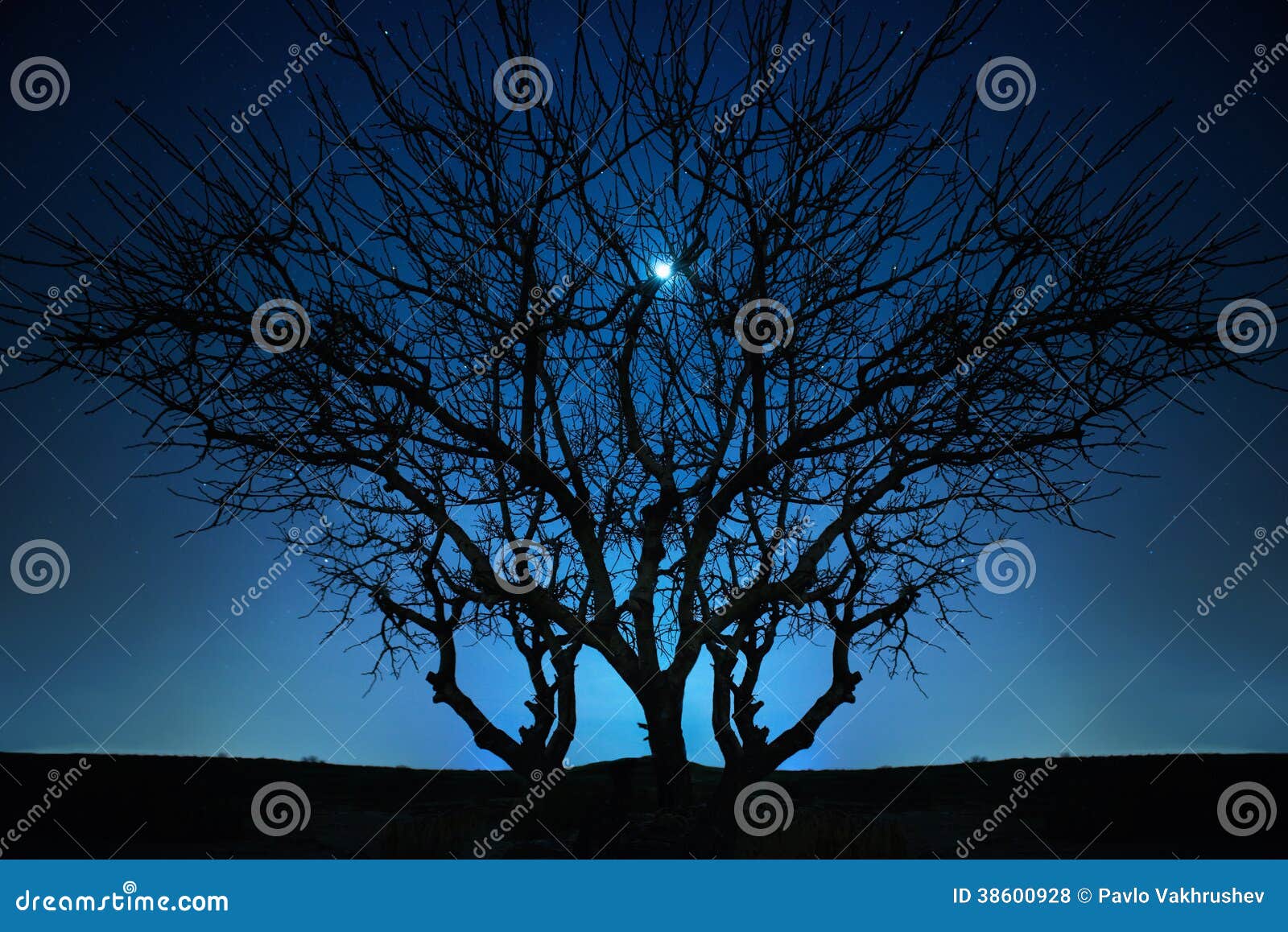 Lonely Tree Under Blue Night Sky Stock Photo - Image of milky, color ...