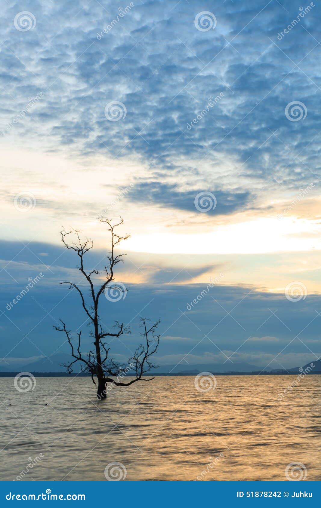 Lonely Tree in Water at Sunset Stock Photo - Image of orange, clouds ...