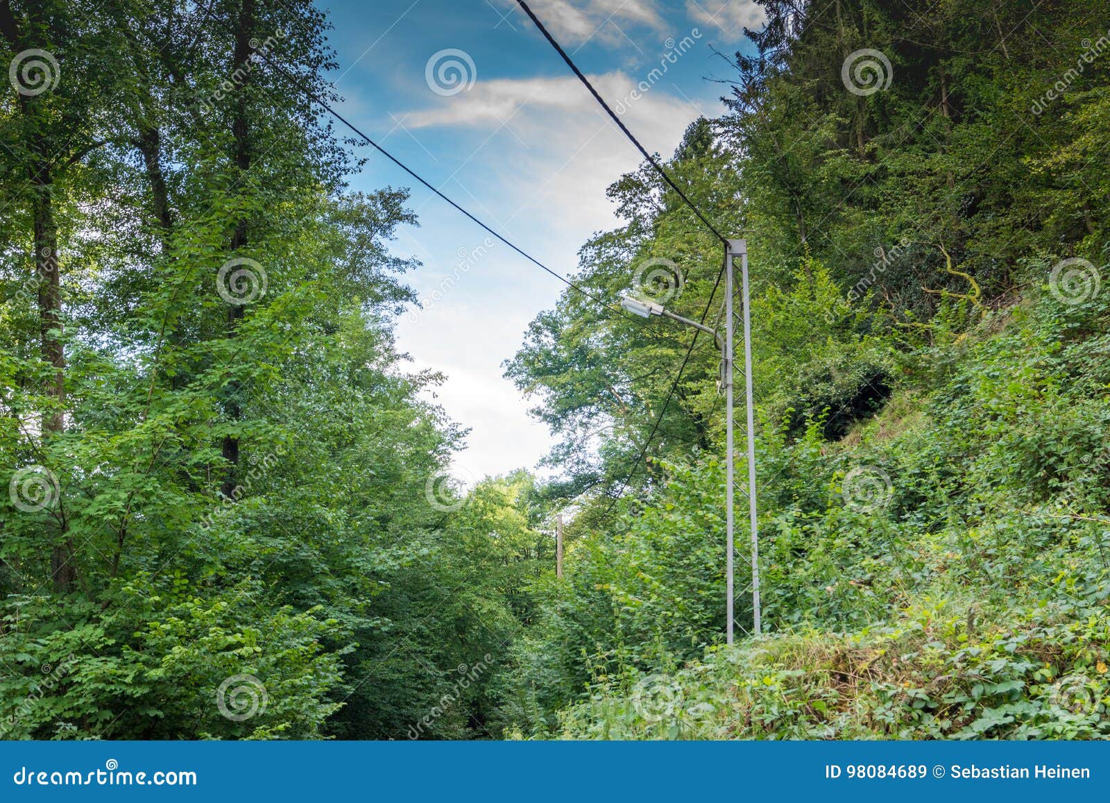 Lonely utility pole stock image. Image of huge, fresh - 98084689