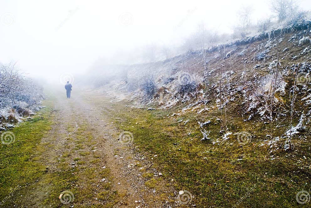 Lonely walk stock photo. Image of alone, path, mountain - 2522324