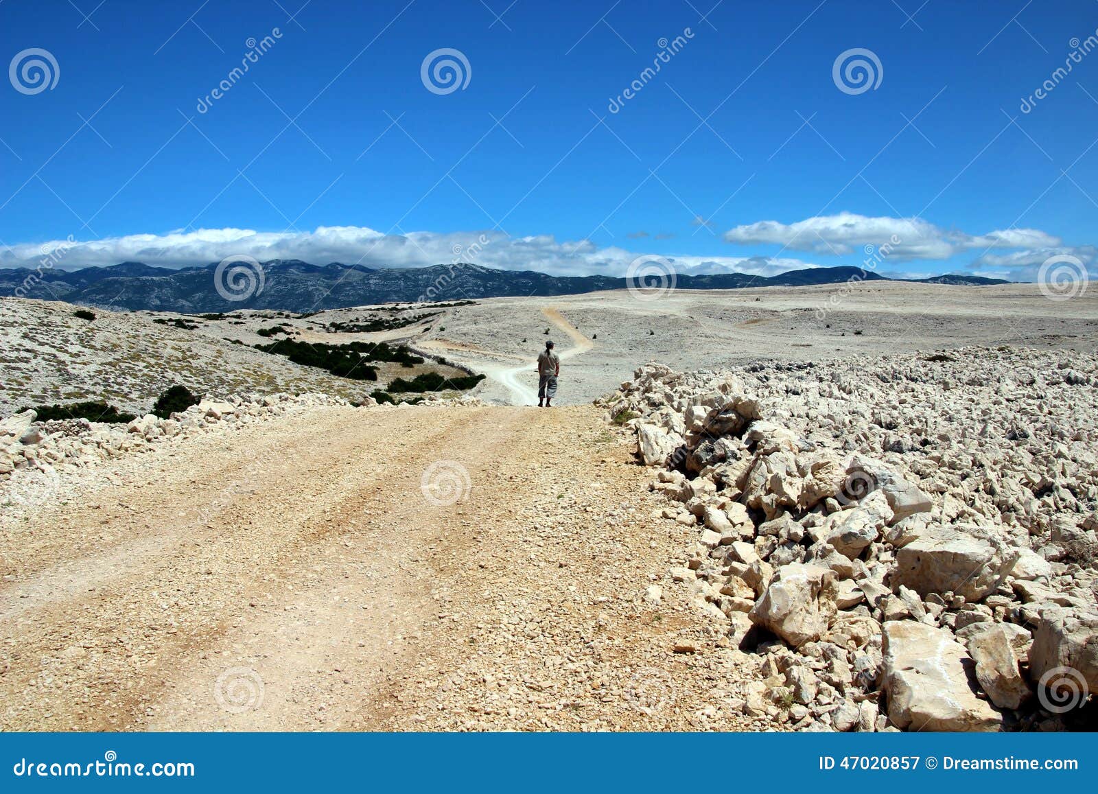 Lonely wanderer stock image. Image of adventure, journey - 47020857