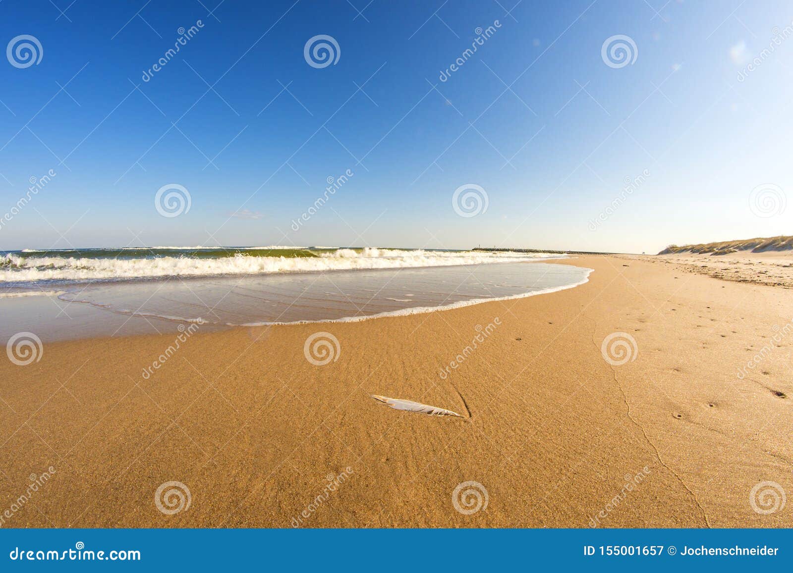 Lonesome Beach of the Baltic Sea with Blue Sky Stock Image - Image of ...