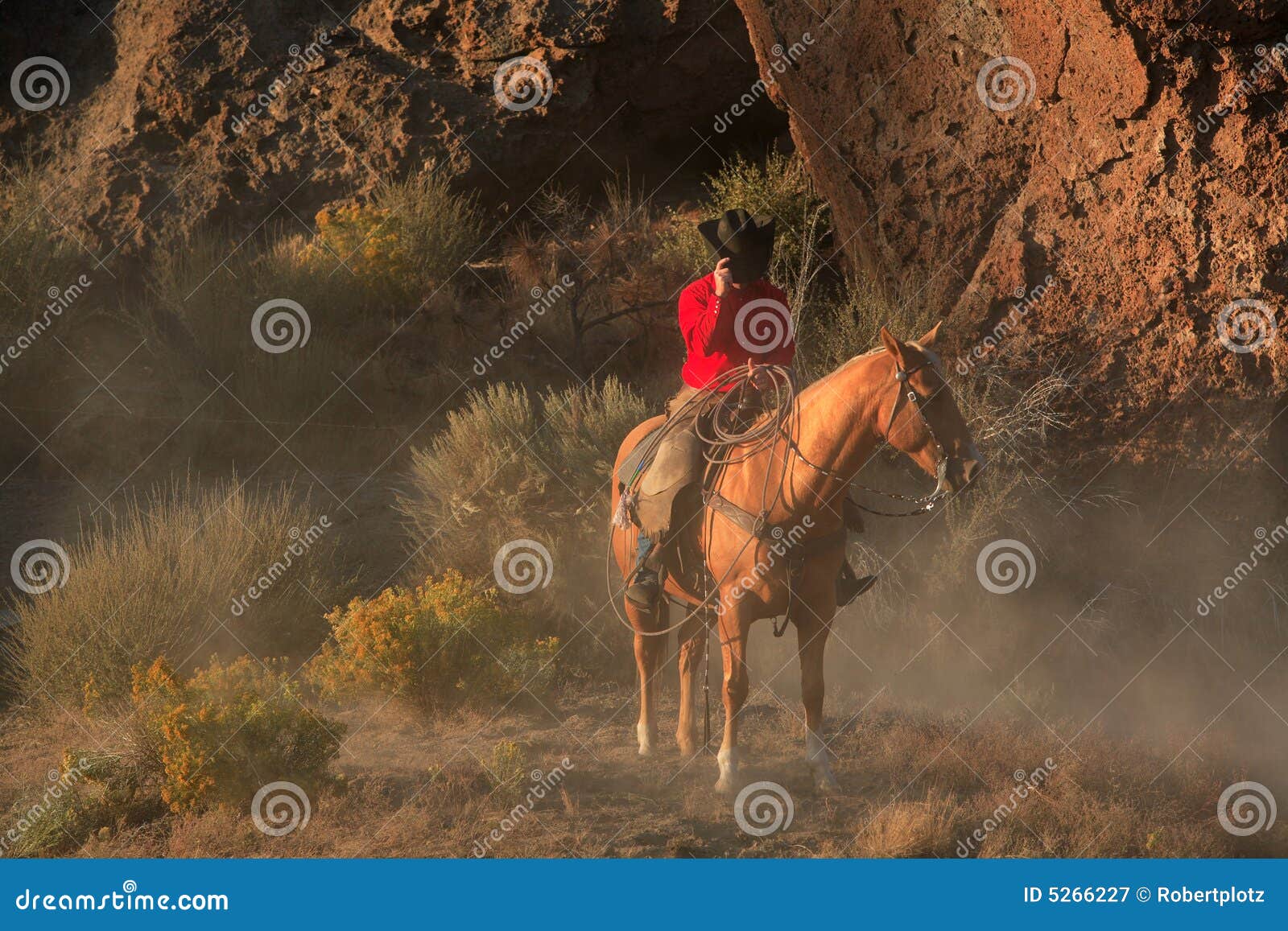 Lonesome Cowboy II stock image. Image of america, roping - 5266227
