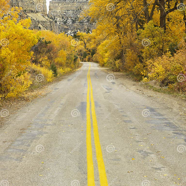 Lonesome road stock image. Image of markings, natural - 2046415