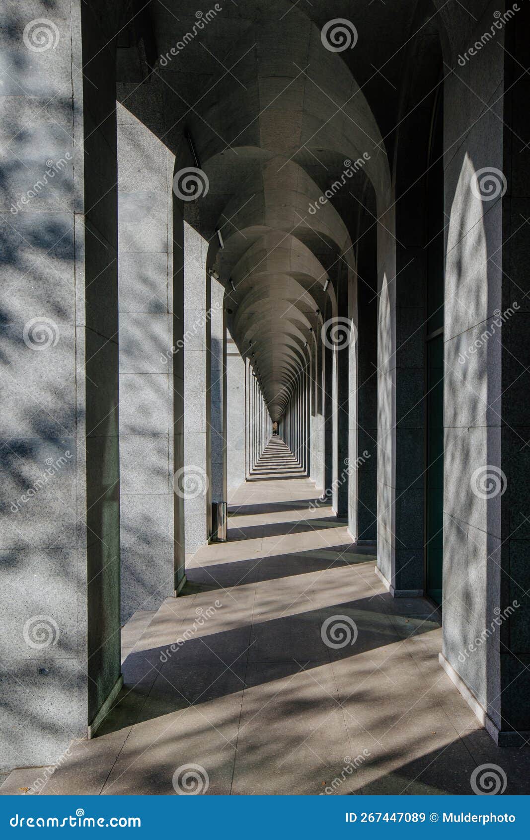 Long Abstract Unlimited Corridor with Rows of Columns in Sunlight Stock ...