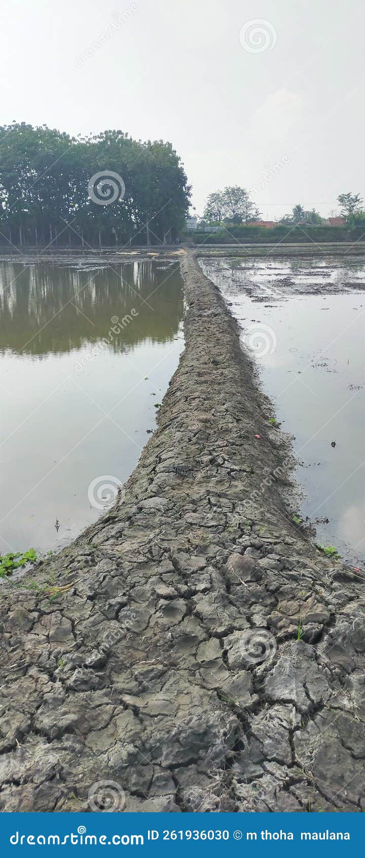 A Long Agricultural Process Stock Photo - Image of terrain, process ...