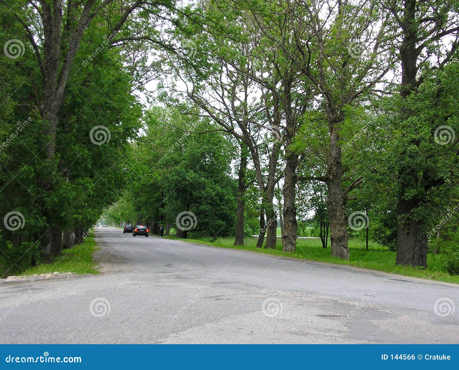 Long alley stock photo. Image of onward, driving, green - 144566