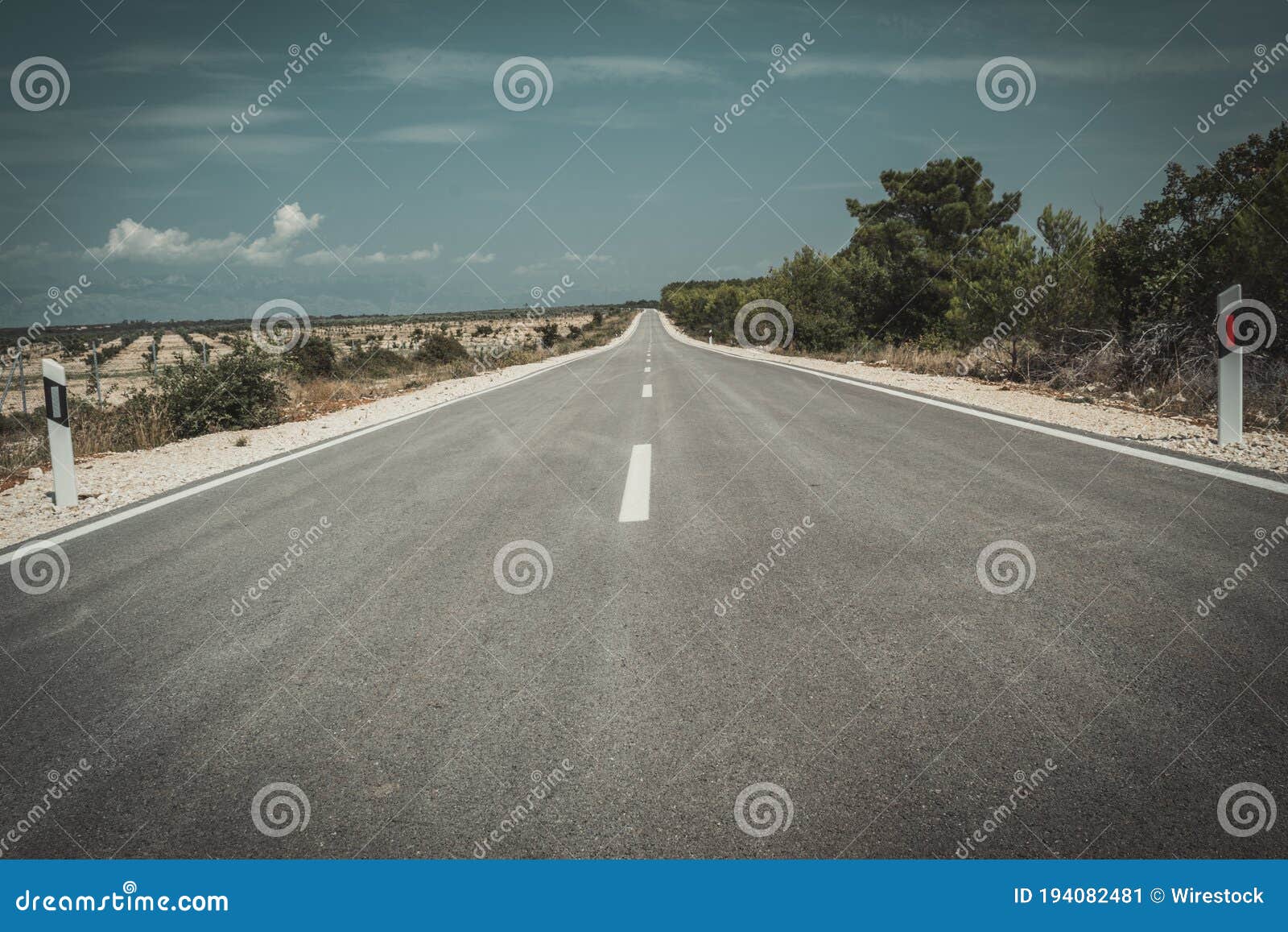 Long Asphalt Road Surrounded by Greens and Trees Under the Blue Sky ...