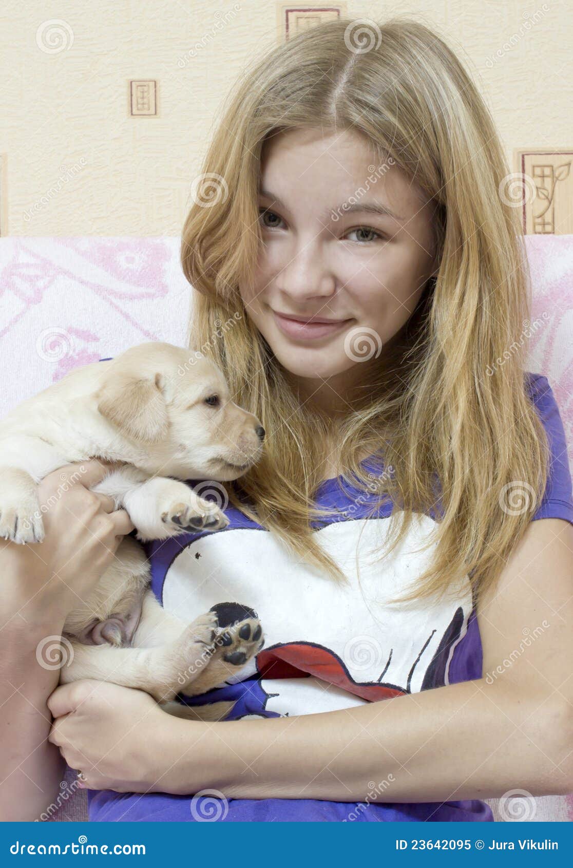 Long-awaited gift stock image. Image of purebred, flattering - 23642095