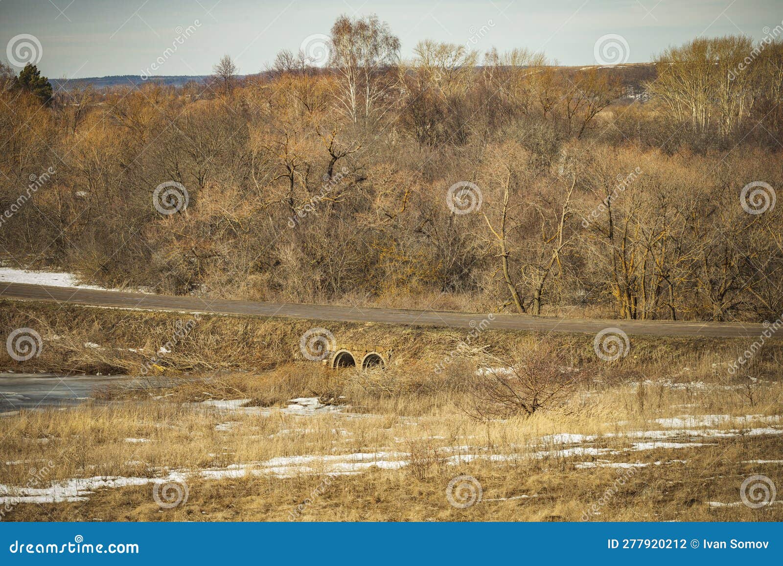 The Long-awaited Spring in the Countryside Stock Photo - Image of ...