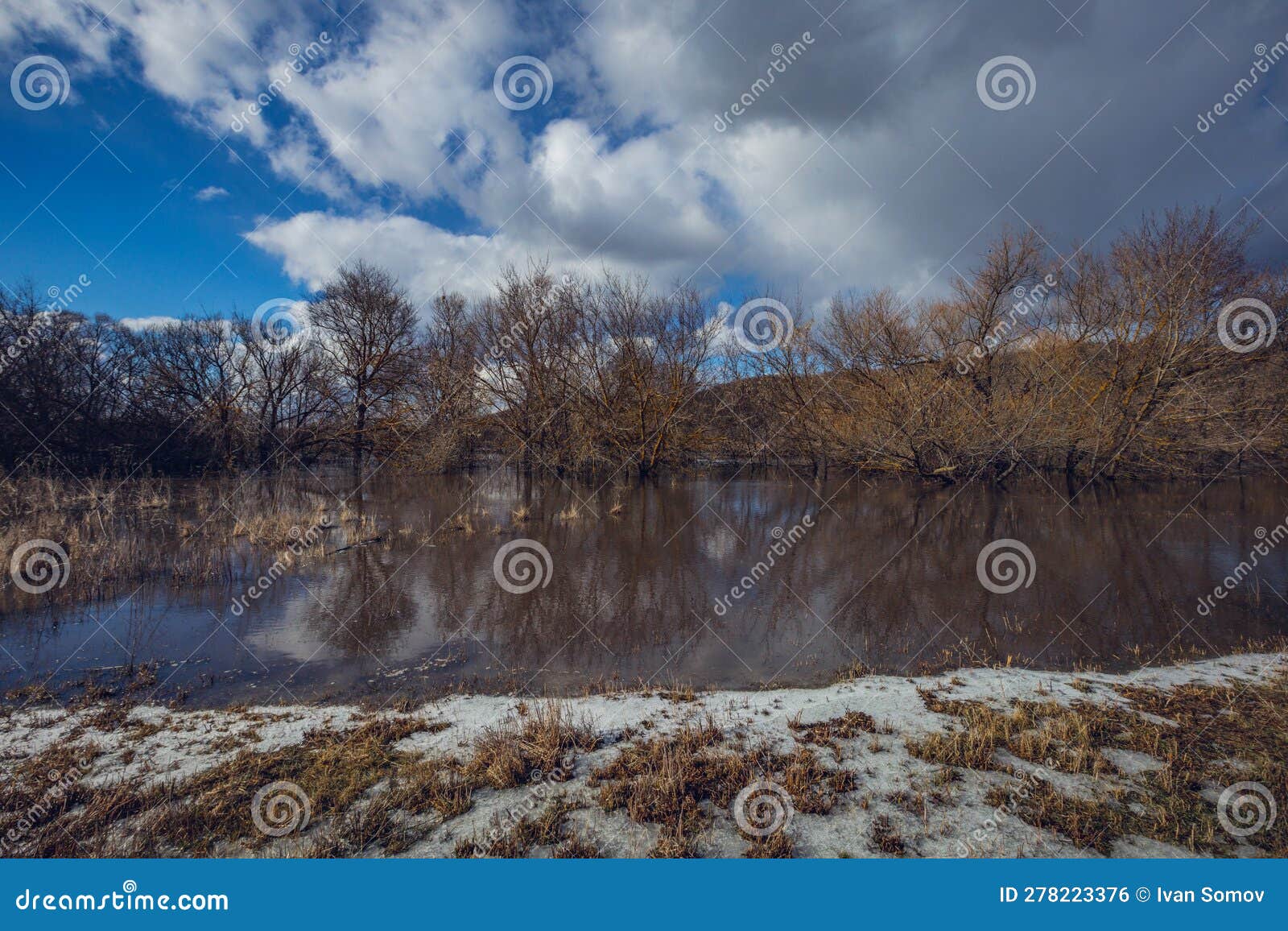 The Long-awaited Spring in the Countryside Stock Photo - Image of ...