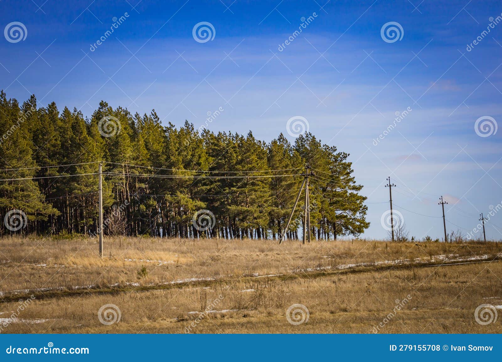 The Long-awaited Spring in the Countryside Stock Photo - Image of field ...