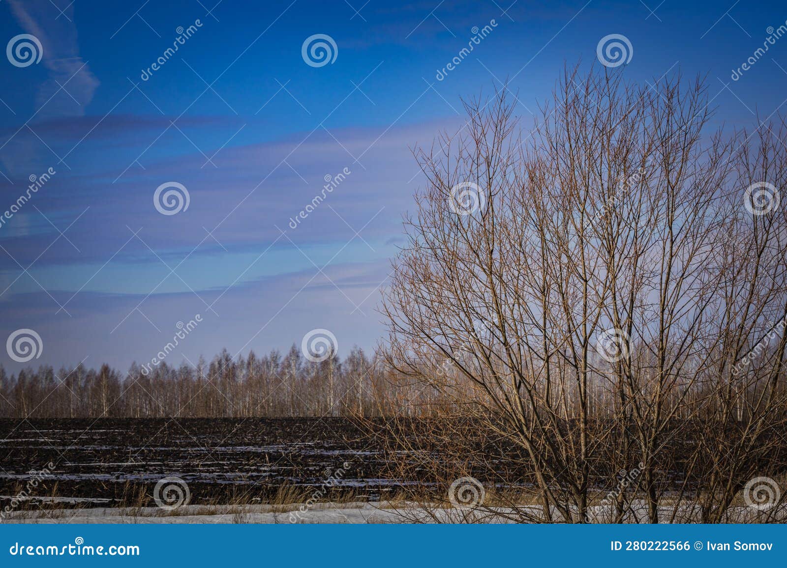 The Long-awaited Spring in the Countryside Stock Photo - Image of farm ...
