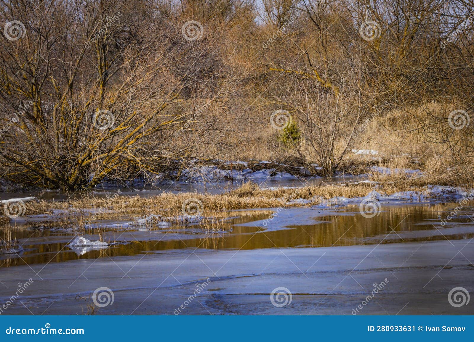 The Long-awaited Spring in the Countryside Stock Image - Image of bare ...