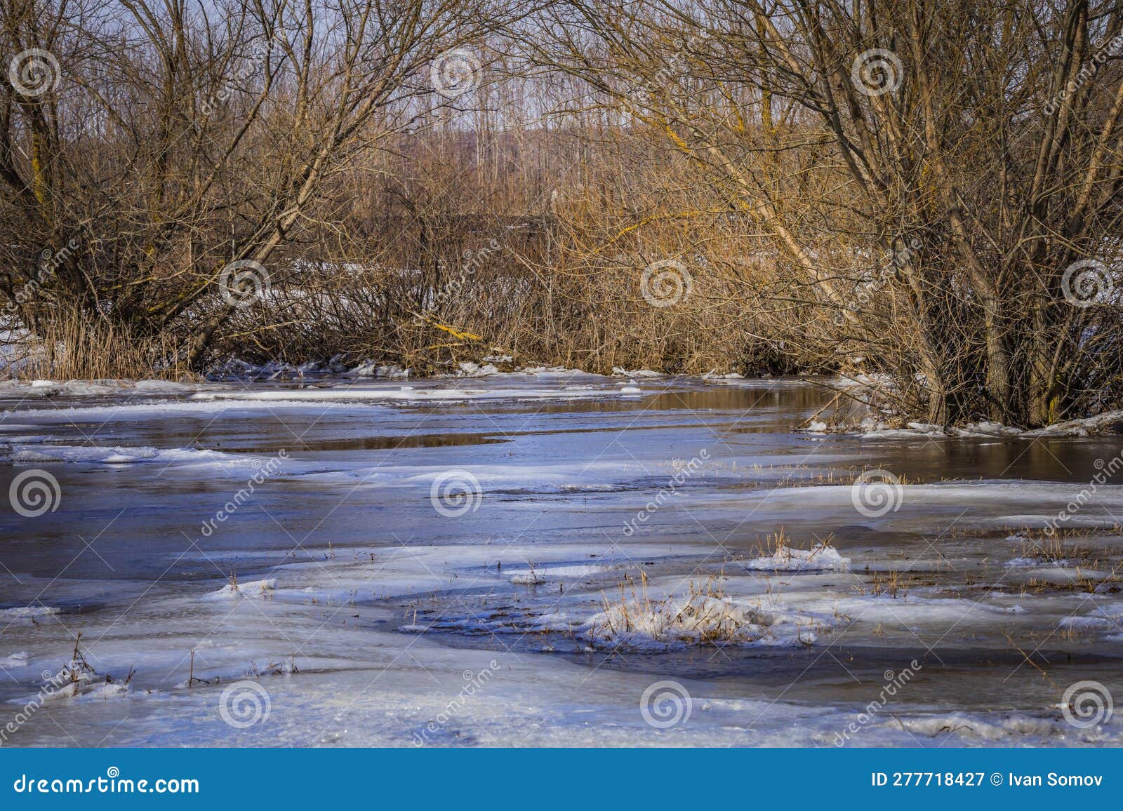 The Long-awaited Spring in the Countryside Stock Image - Image of land ...