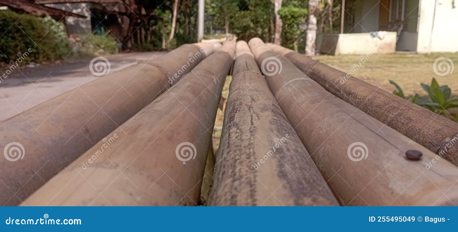 Long Bamboo for a Bench in Front of the House Stock Image - Image of ...