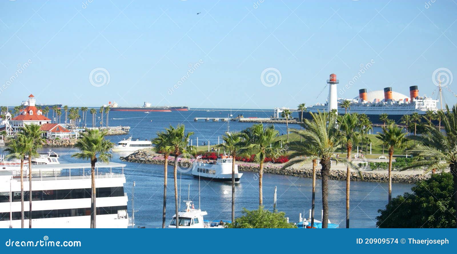 Long Beach Harbor stock photo. Image of port, palm, cruise - 20909574