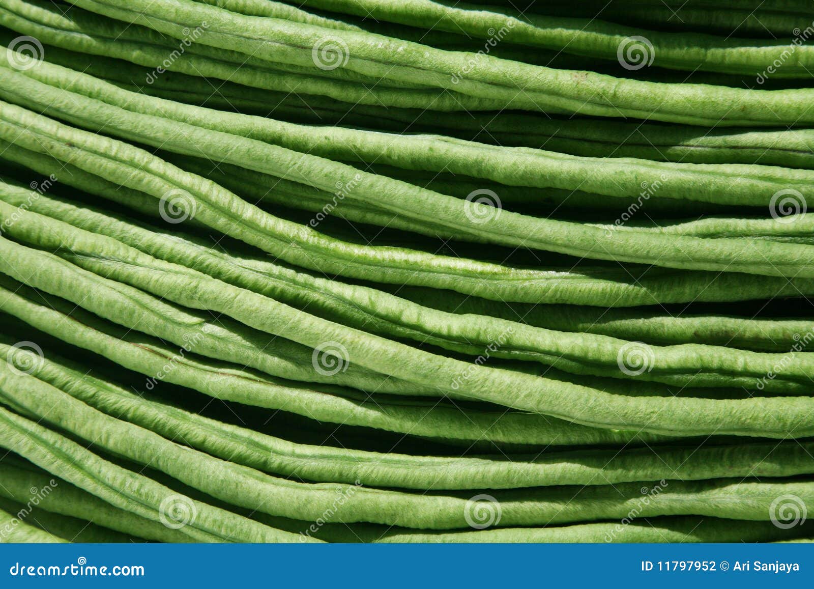 Long Bean stock photo. Image of delicious, stir, pick - 11797952
