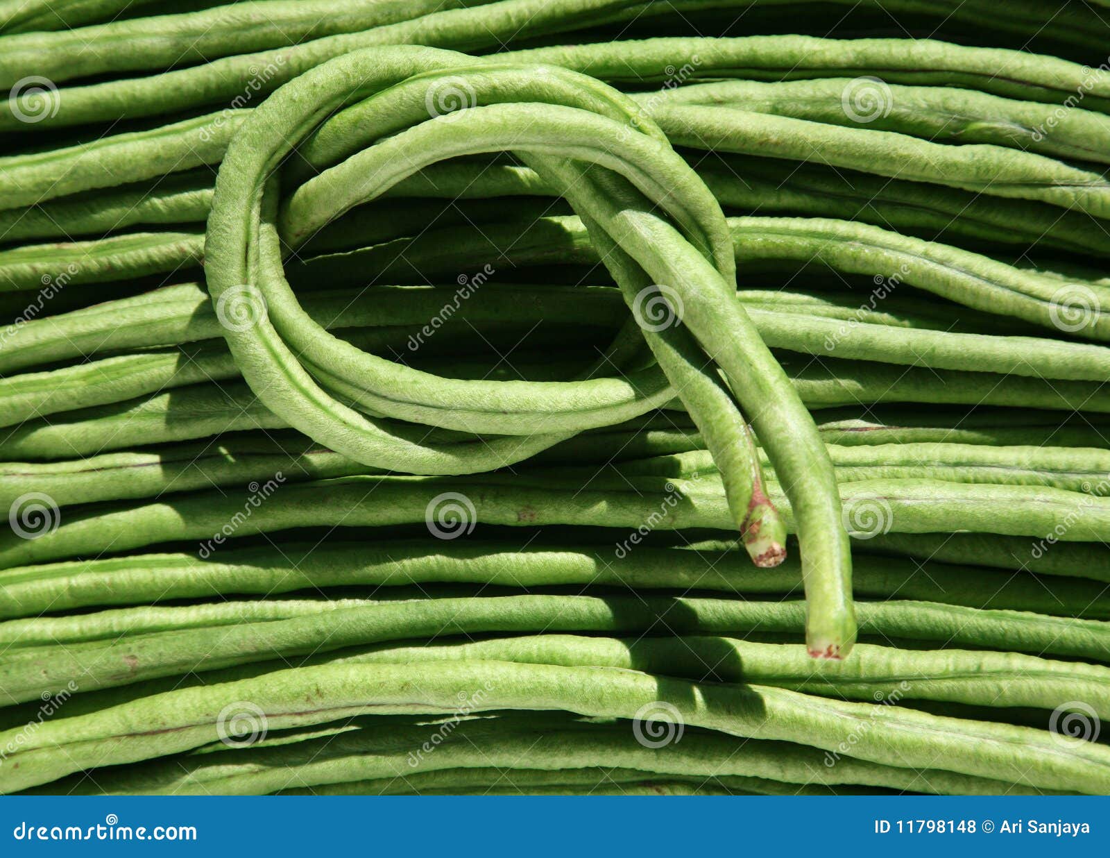 Long Bean stock photo. Image of delicious, bean, market - 11798148
