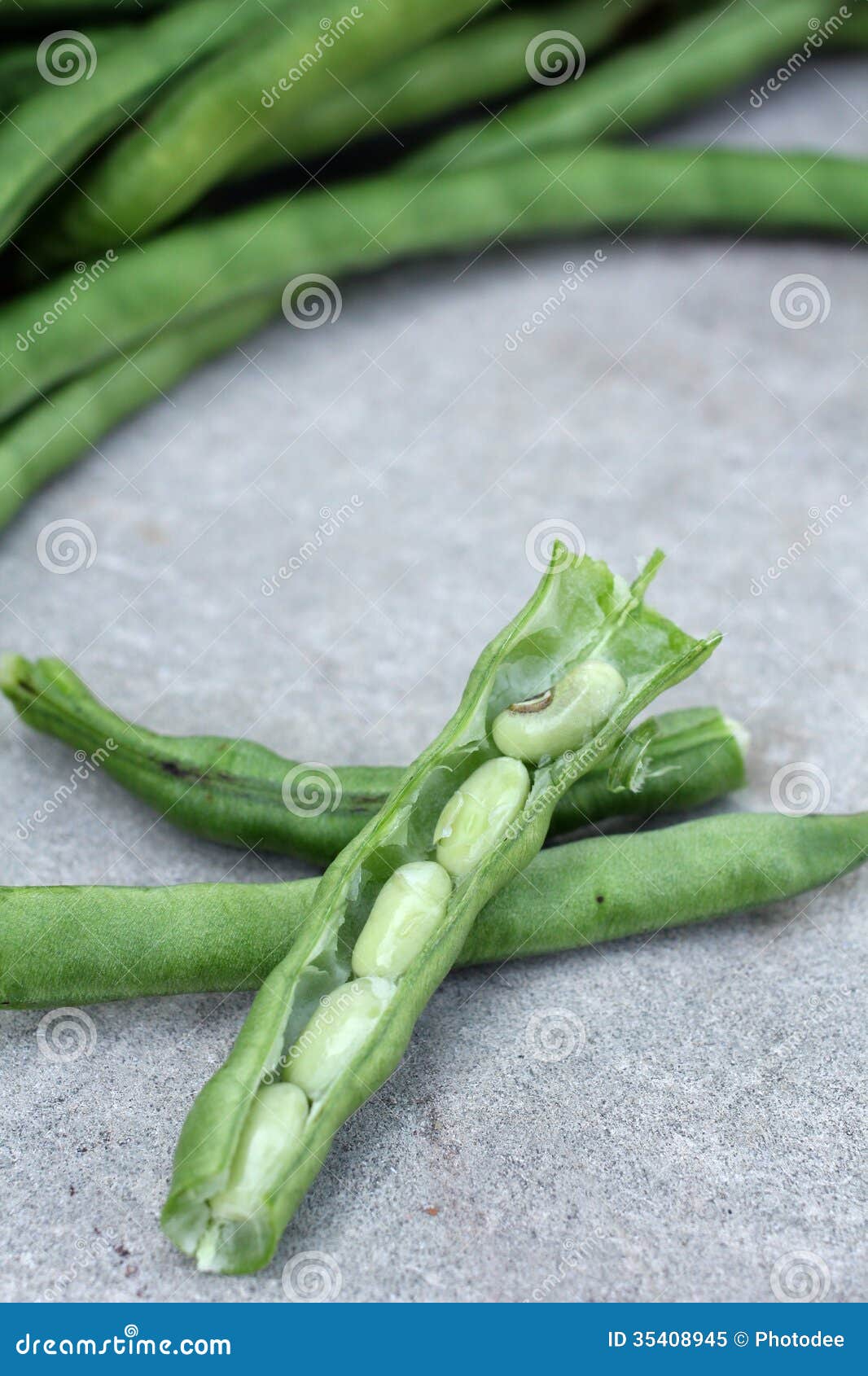 Long bean stock image. Image of yard, white, fresh, vitamin - 35408945